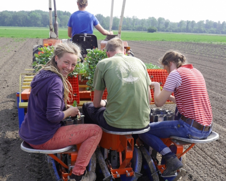 Open dag biologisch-dynamische landbouwschool Warmonderhof • Live Green ...