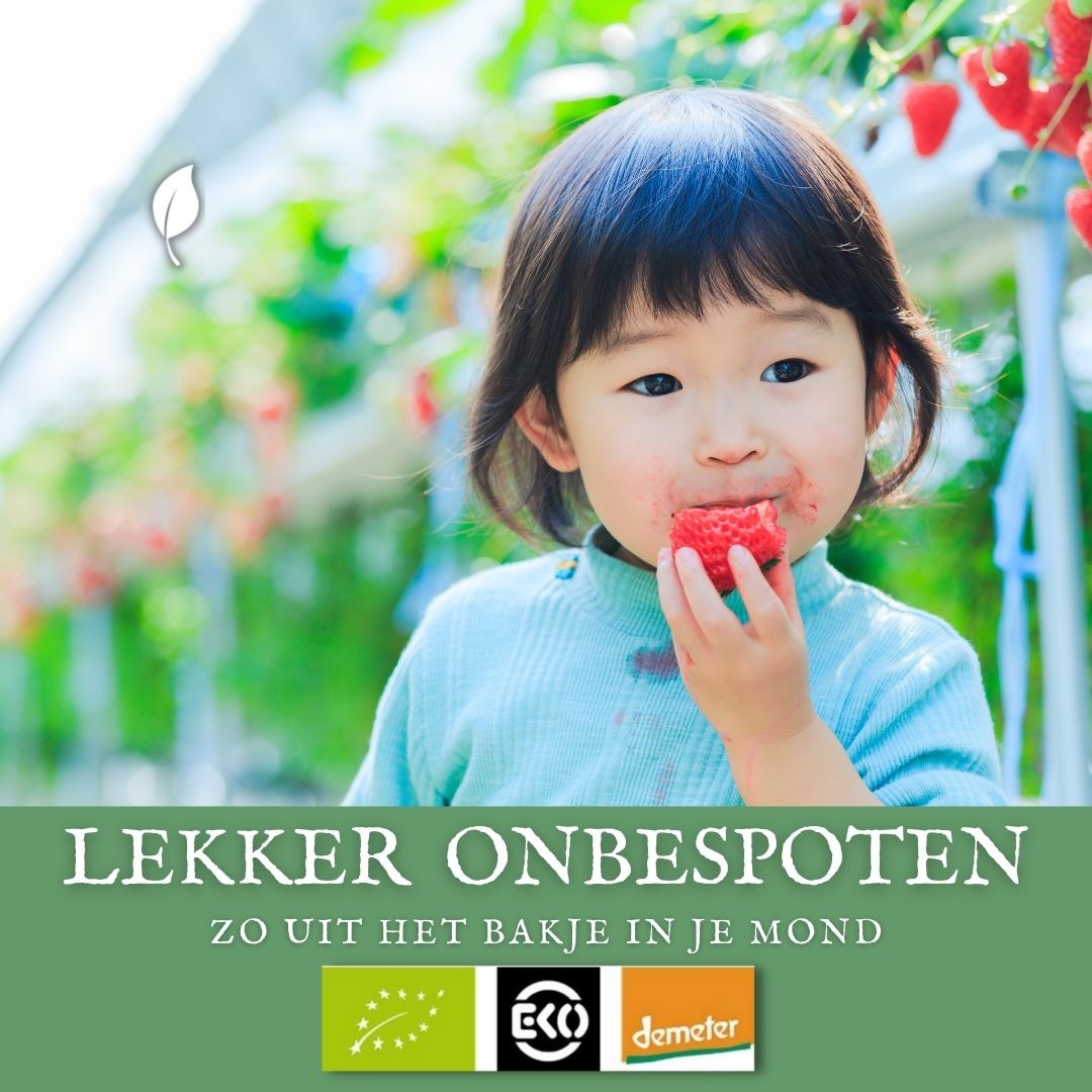 Nederlandse wijnboeren: het verborgen juweel van eigen bodem