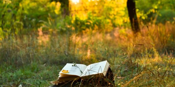 De week van de poëzie: thema natuur. Wat wordt jouw gedicht?