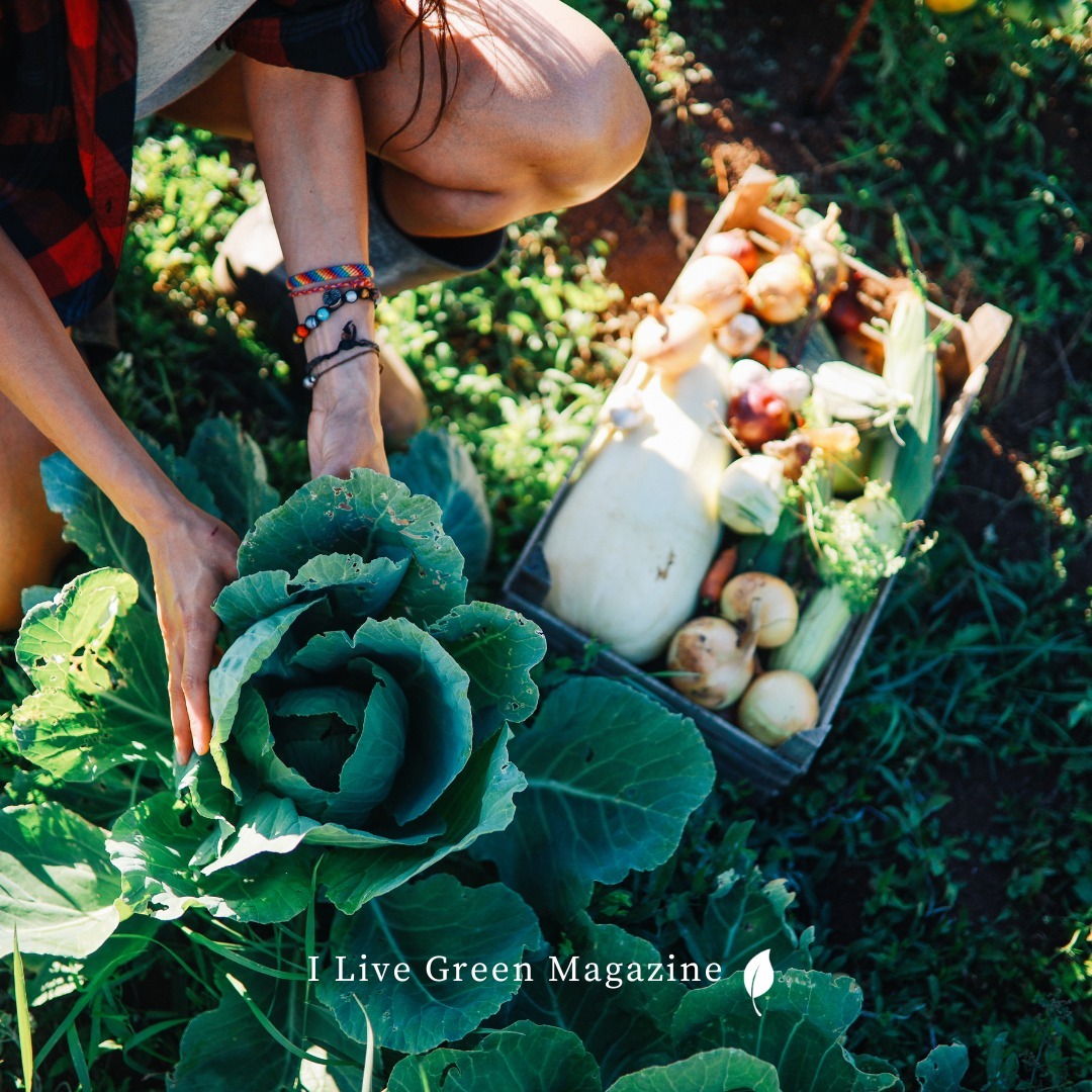 Video: Nature is speaking • Live Green Magazine - Healthy You, Healthy ...